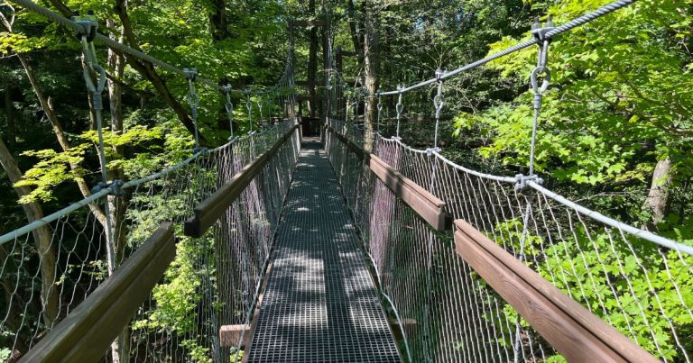 13 Botanical Gardens in Northeast Ohio: Guaranteed to Delight All Ages