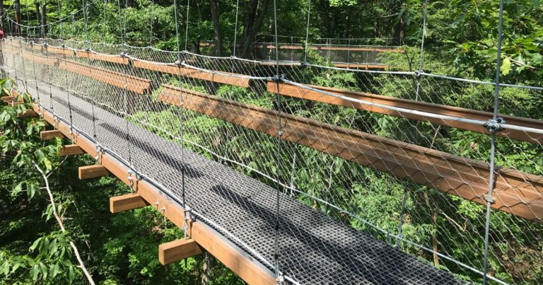 Your Adventure Awaits at the Holden Arboretum Canopy Walk & Tower