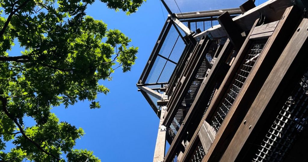 Your Adventure Awaits at the Holden Arboretum Canopy Walk & Tower
