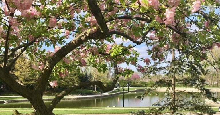 Things to Do During Spring Break - 50+ Fun Filled Ideas