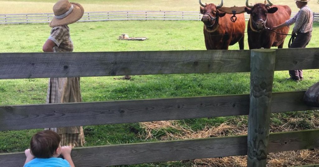 12 Petting Zoos In Northeast Ohio: Best Fun on the Farm Experience