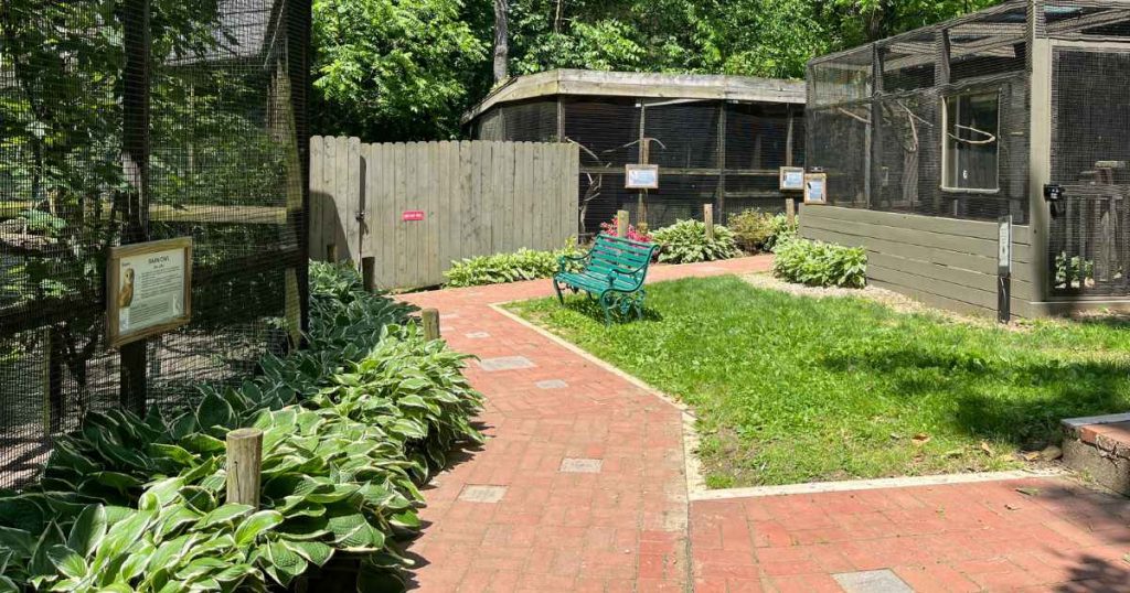 12 Petting Zoos In Northeast Ohio: Best Fun on the Farm Experience