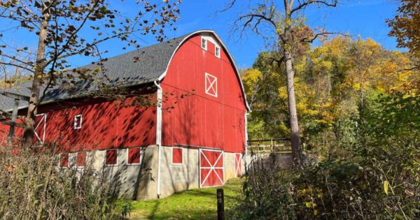 Best Things to do in November in Ohio - Hikes, Museums, Holidays & More