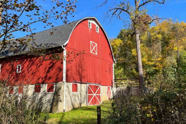 Things to do this Weekend