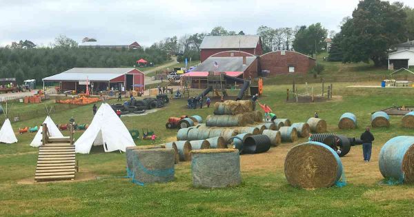 Ultimate Fall Fun Guide - 100+ Things to do this Fall