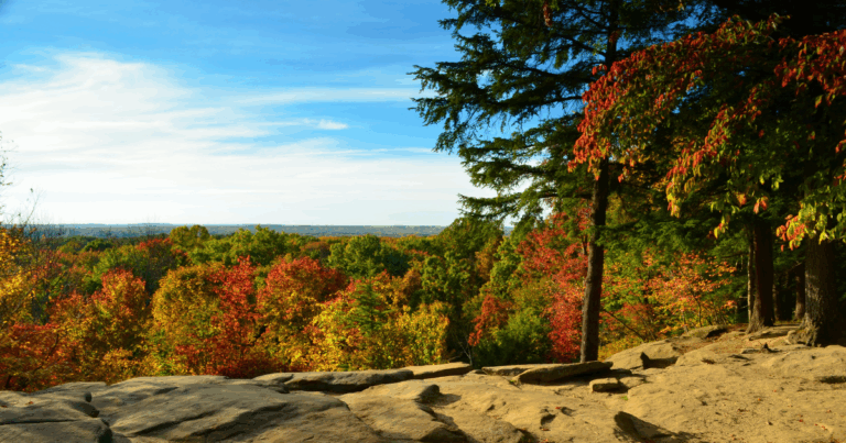 Fall Foliage Driving Tours in Northeast Ohio