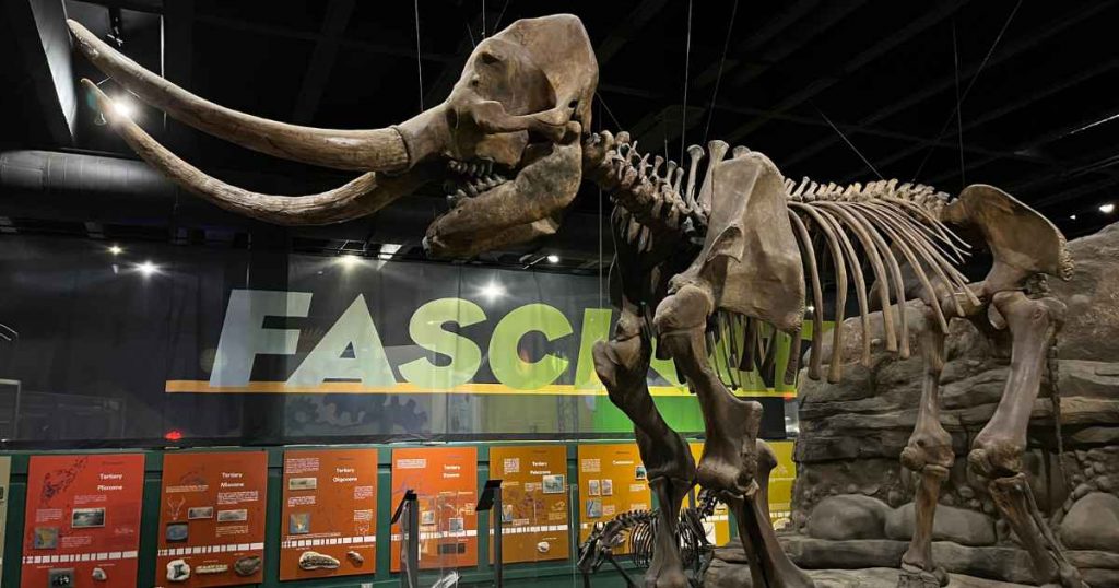 40+ Fascinating Museums in Northeast Ohio Your Family Will Love