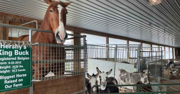 Best Small Towns in Ohio: 25 Spots You’ll Love (& What To Do There)