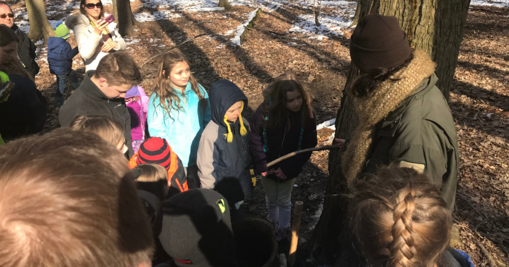 21 Deliciously Sweet Maple Syrup Festivals in Ohio {2025}