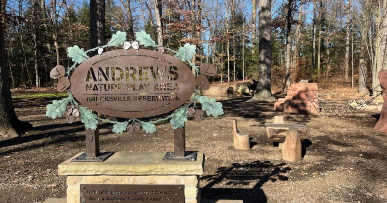 85+ Amazing Playgrounds in Northeast Ohio Your Kids will Love