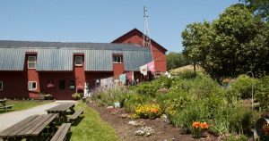 Experience the Amish Way of Life with these Home Tours and Buggy Rides