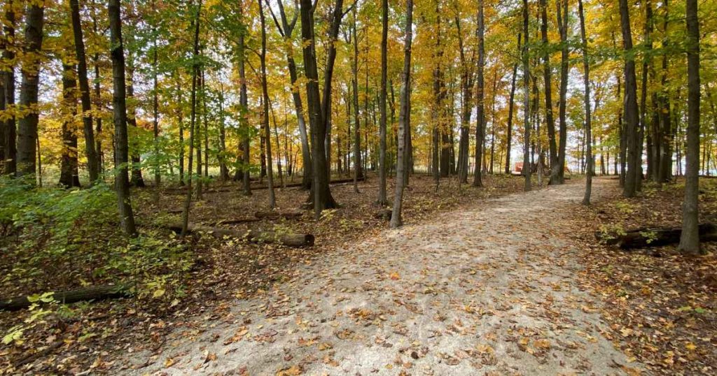 15 Unique Things to do in Dublin Ohio