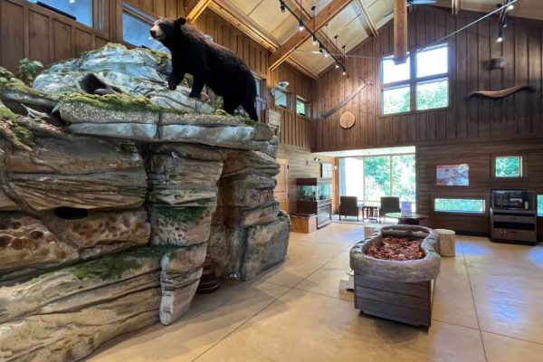 25+ Indoor Activities: Ultimate Northeast Ohio Indoor Fun Guide