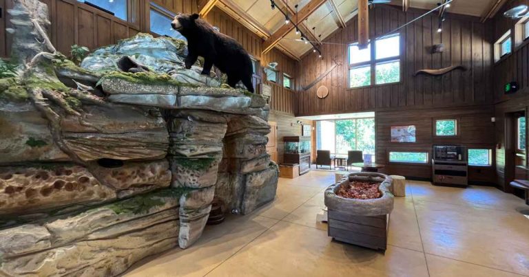 20+ Nature Centers in Northeast Ohio for Enjoying Time Outdoors