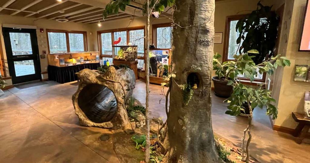 20+ Nature Centers in Northeast Ohio for Enjoying Time Outdoors