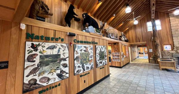 20+ Nature Centers in Northeast Ohio for Enjoying Time Outdoors