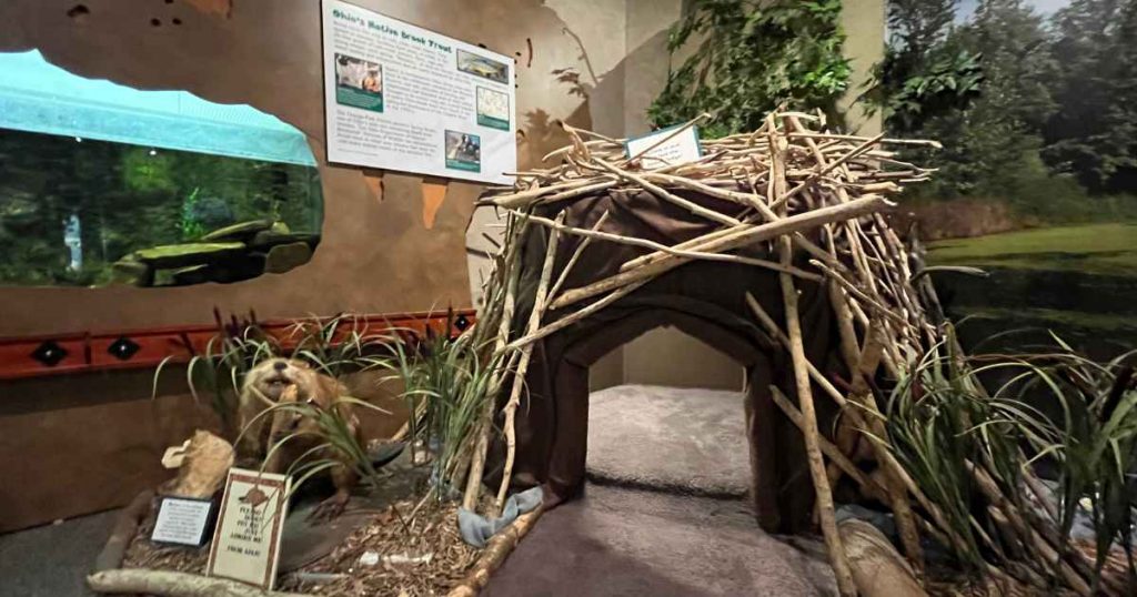 20+ Nature Centers in Northeast Ohio for Enjoying Time Outdoors