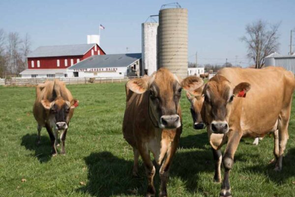 Travel Ohio - the best things to do & see in the Buckeye State!