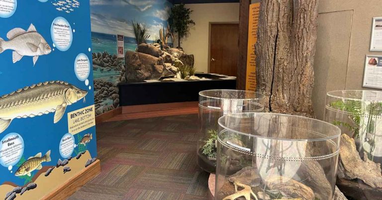 40+ Fascinating Museums in Northeast Ohio Your Family Will Love