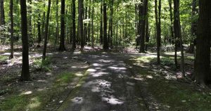 25+ Things to do with Toddlers in Ohio
