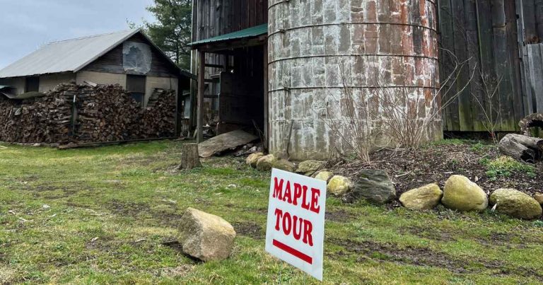 21 Deliciously Sweet Maple Syrup Festivals in Ohio {2026}