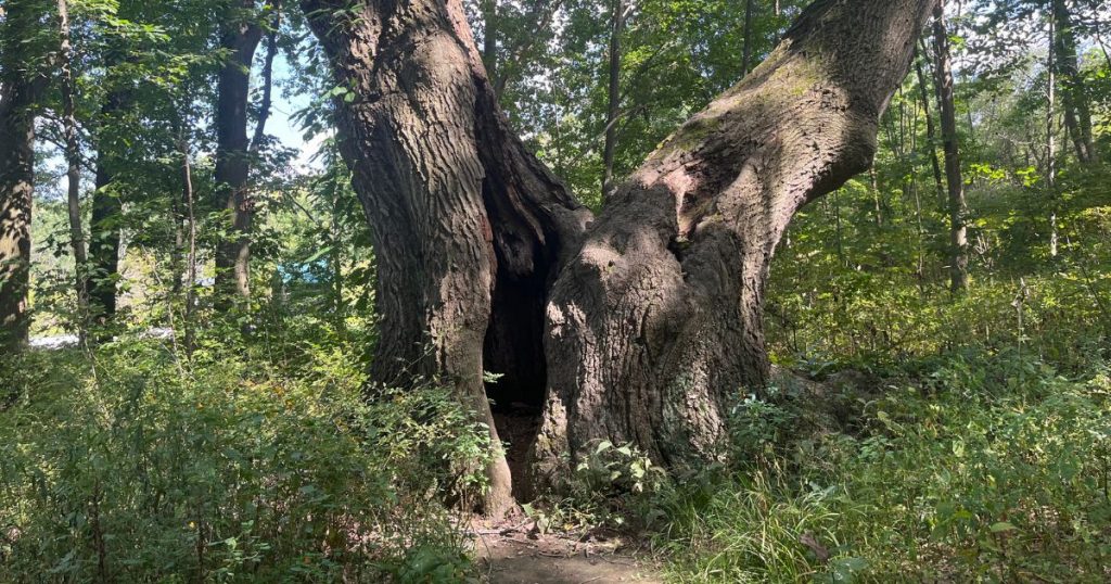 Spend A Day Exploring Stunning Silver Creek Metro Park - Trails ...