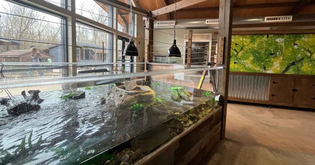 20+ Nature Centers in Northeast Ohio for Enjoying Time Outdoors